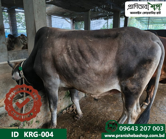 Bull KRG-004